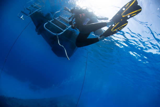 Debunking Myths and Understanding the Safety of Scuba Diving – The ...