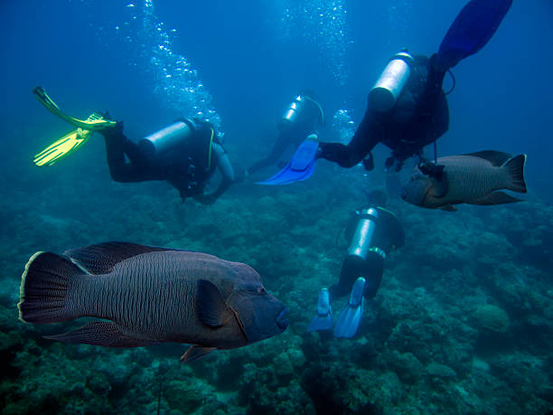 The Ultimate Guide to Scuba Diving in Bermuda: Dive Into Paradise – The ...