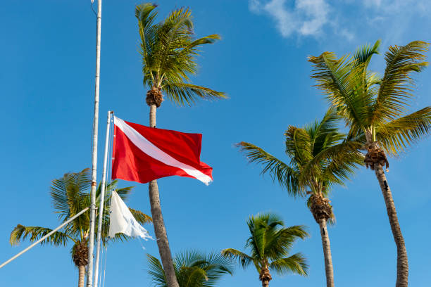 Exploring the Depths - A Guide to Scuba Diving in Key West – The Eagle ...