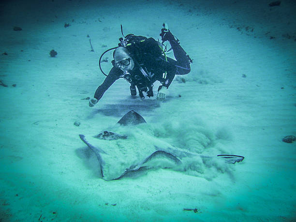 Navigating the Depths: Understanding the Risks of Scuba Diving – The ...